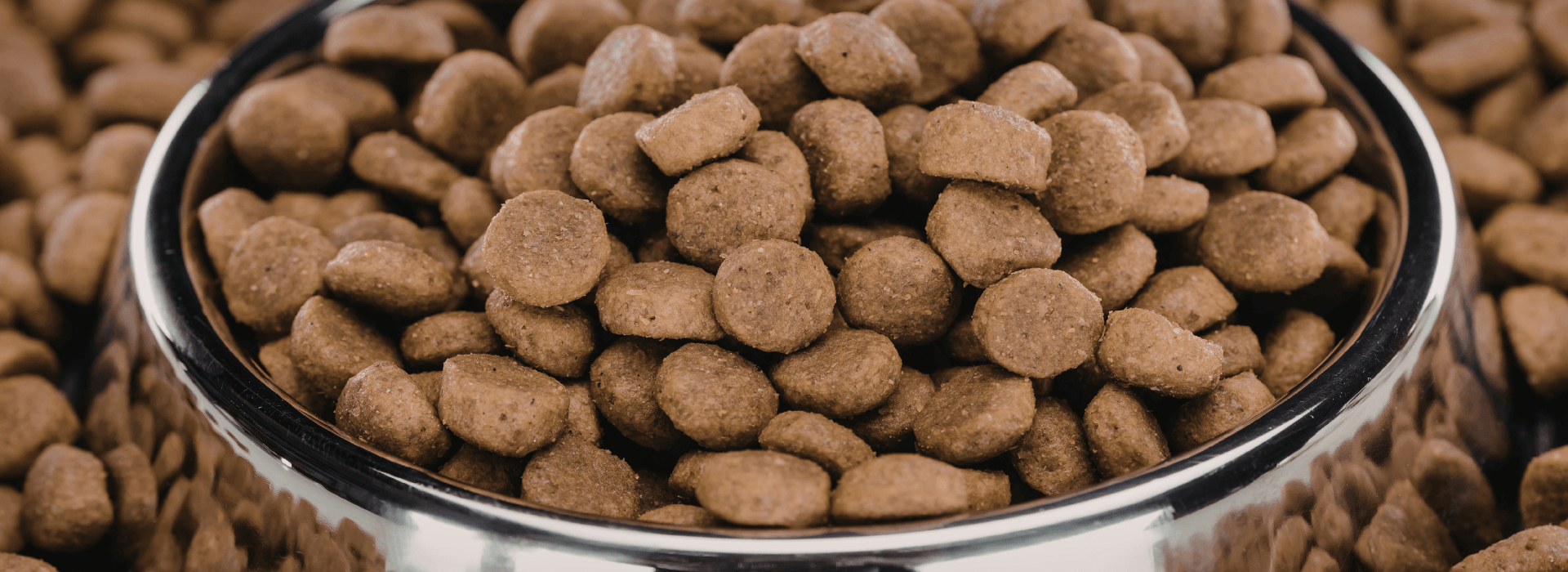 High-Quality Dog Kibble and Dry Food – The Pet Food Company